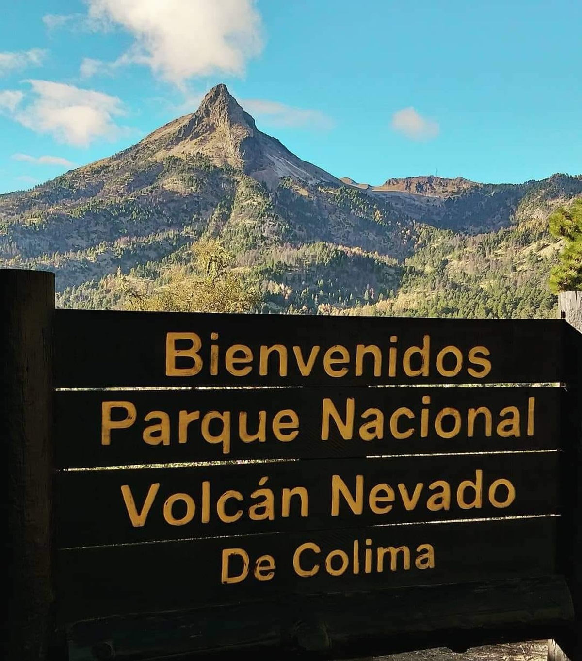 ¿Te gusta el frío? Visita Parque Nacional Nevado de Colima.