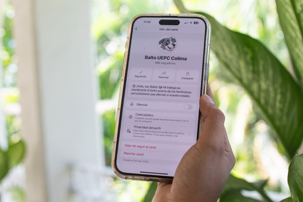 App ‘Balto’ alerta sobre accidentes viales en autopistas