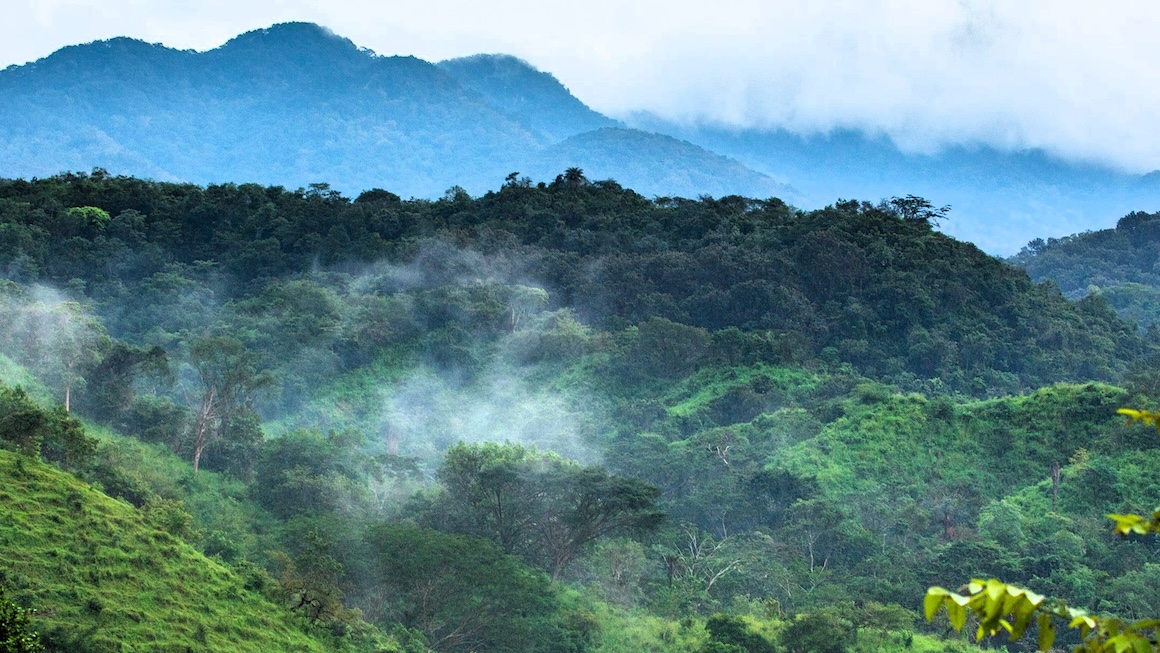 Colima replicará corredor biocultural - El Pulso de Colima