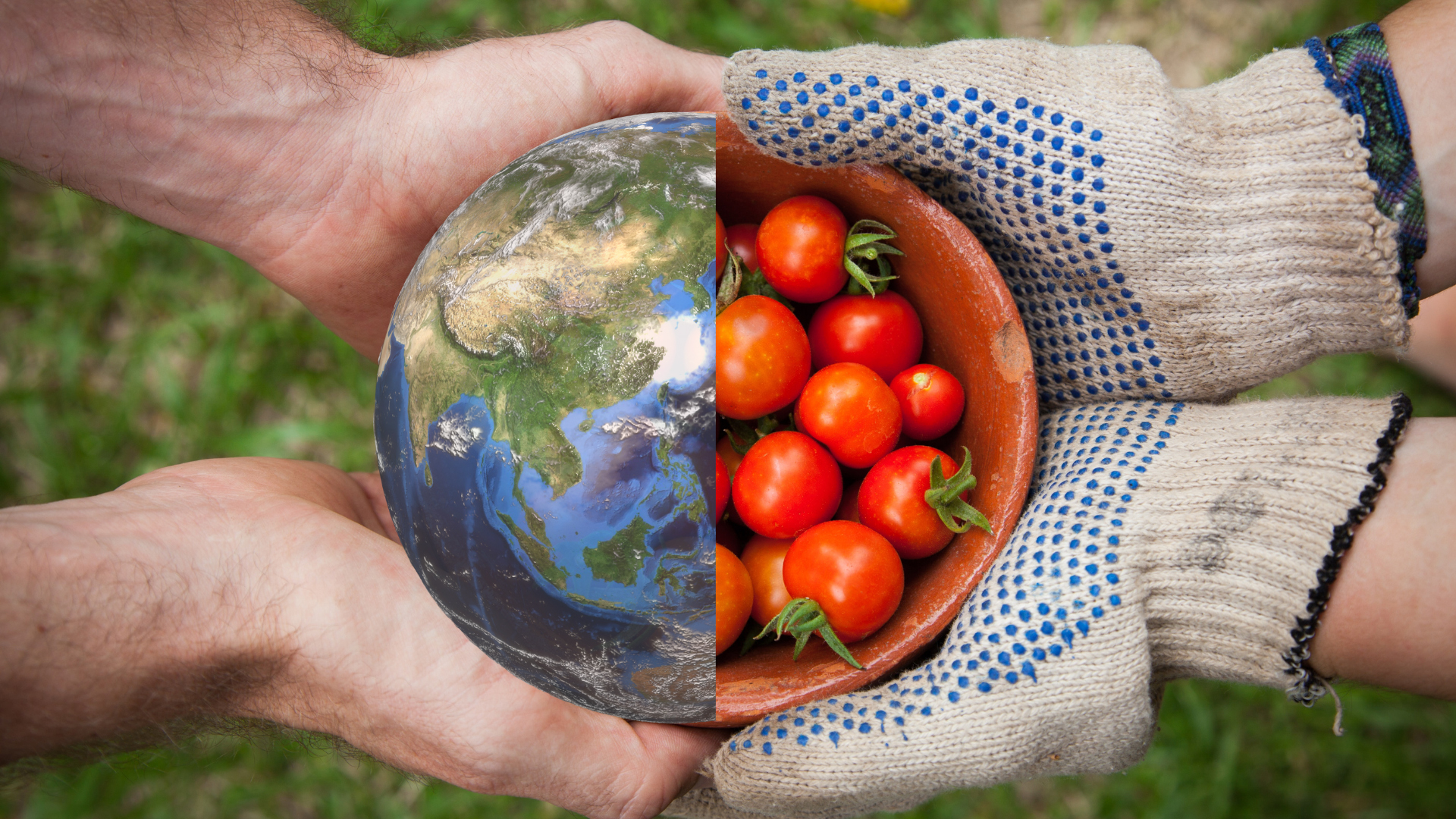 La Cosmopolitana: Impulso 2025 y sostenibilidad alimentaria